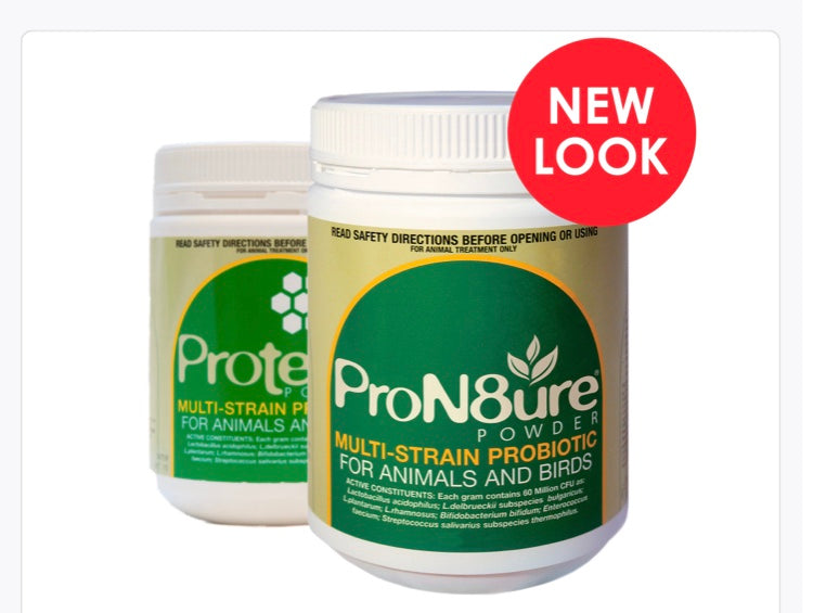 IAH ProN8ure probiotics for gut health – Diamond Boots Australia ...